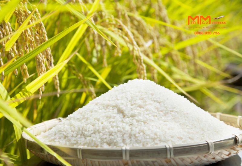 Đơn vị vận chuyển gửi gạo đi Trung Quốc giá rẻ, nhanh chóng nhất Thủ ...