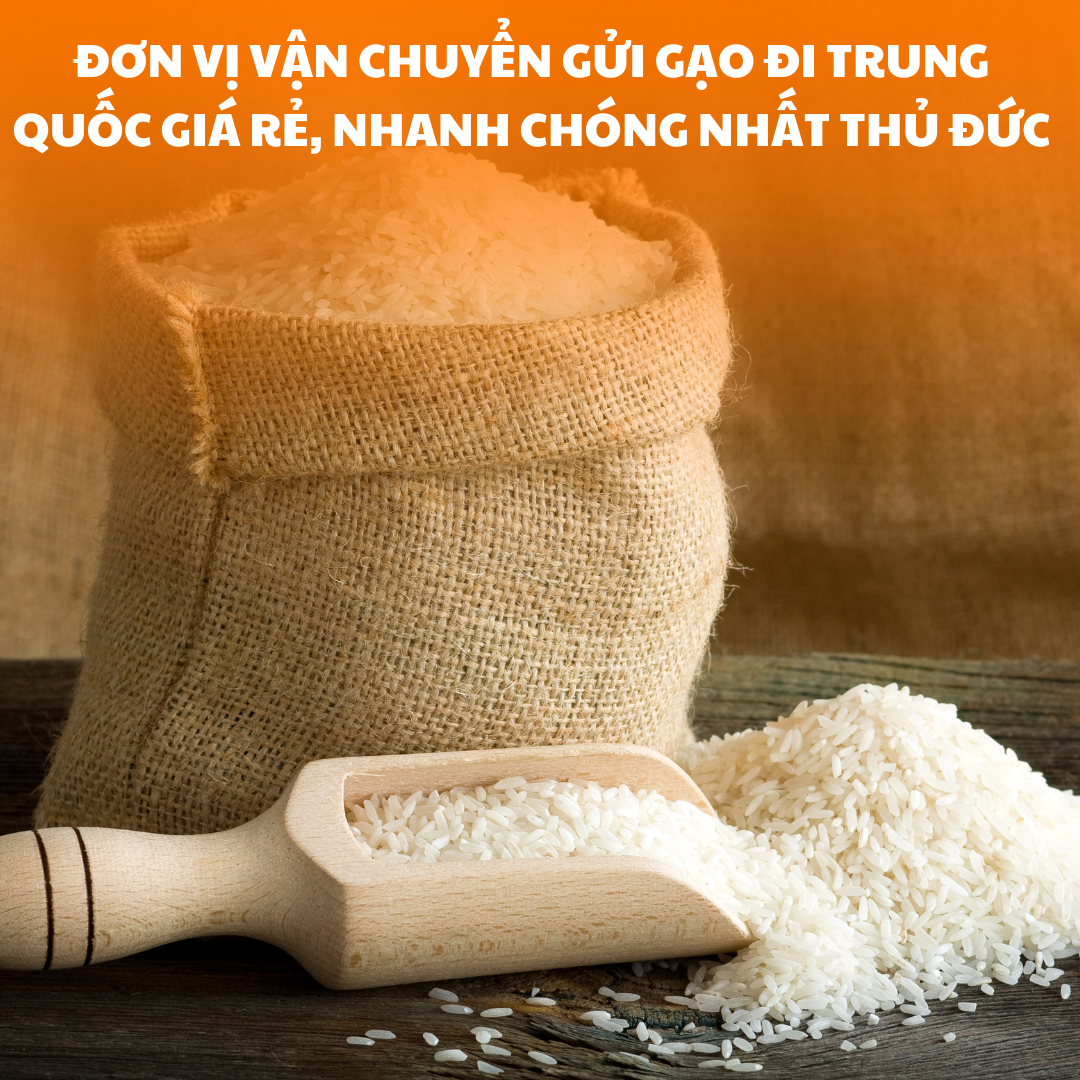 Đơn vị vận chuyển gửi gạo đi Trung Quốc giá rẻ, nhanh chóng nhất Thủ ...