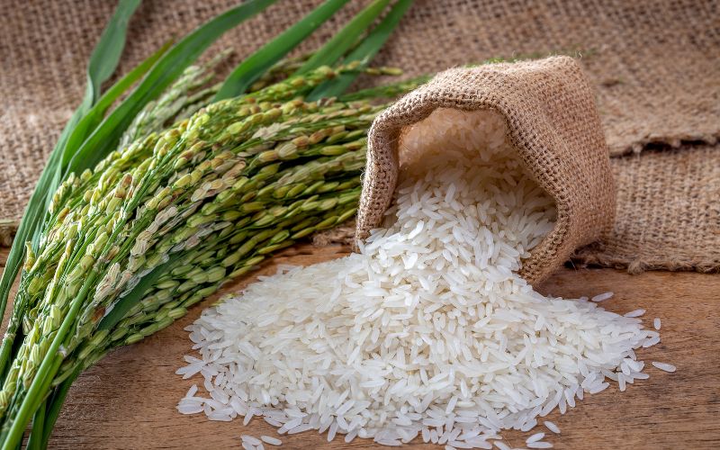 TOP dịch vụ gửi gạo đi Canada đảm bảo nhanh chóng, giá tốt, chất lượng ...